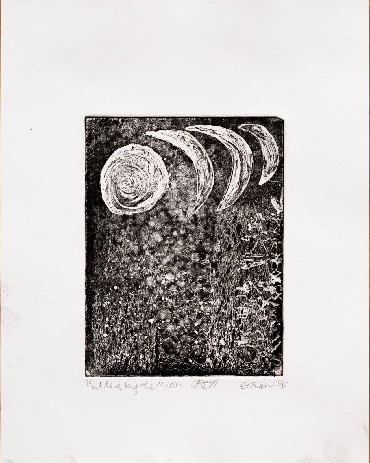 Permanent Collection - Riverside Art Museum & The Cheech